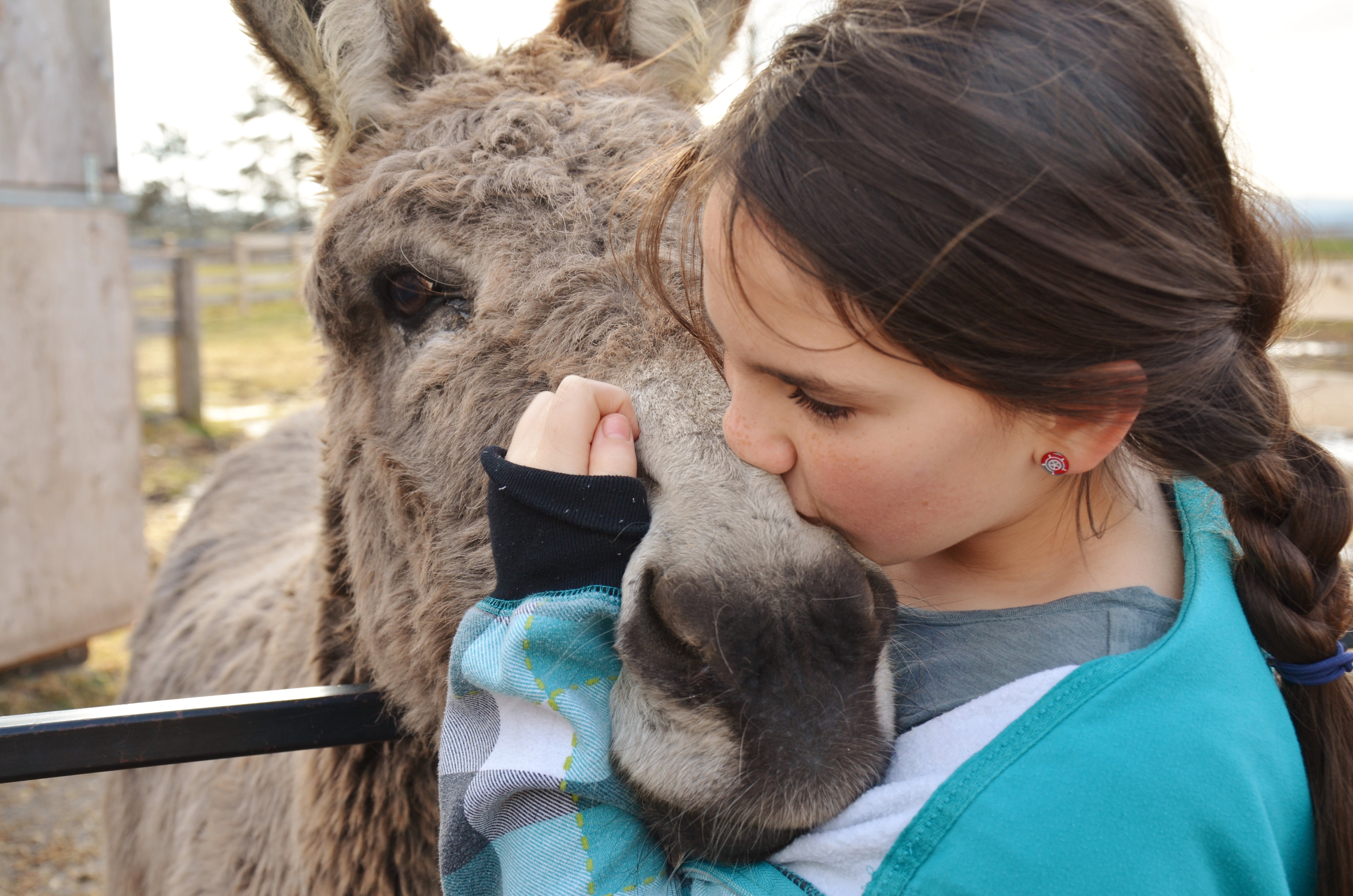 Photo Gallery | Above and Beyond