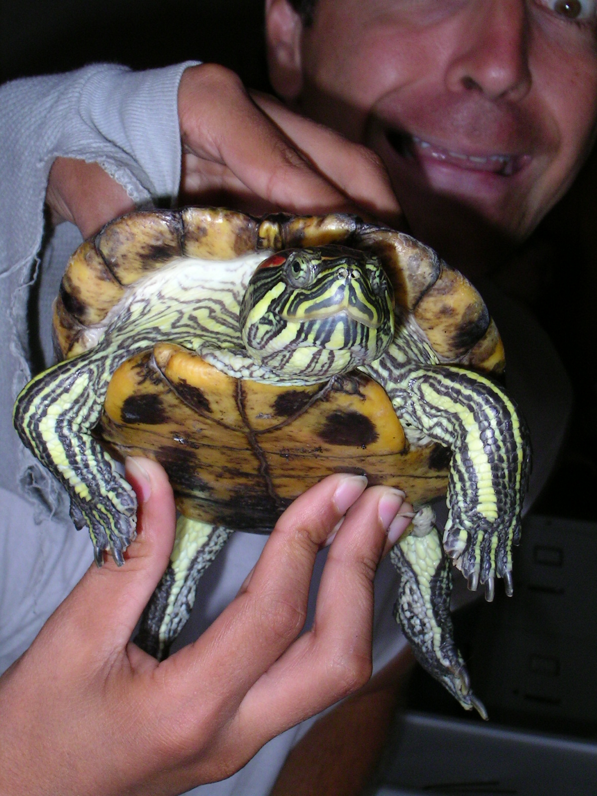 Photo Gallery | Above and Beyond